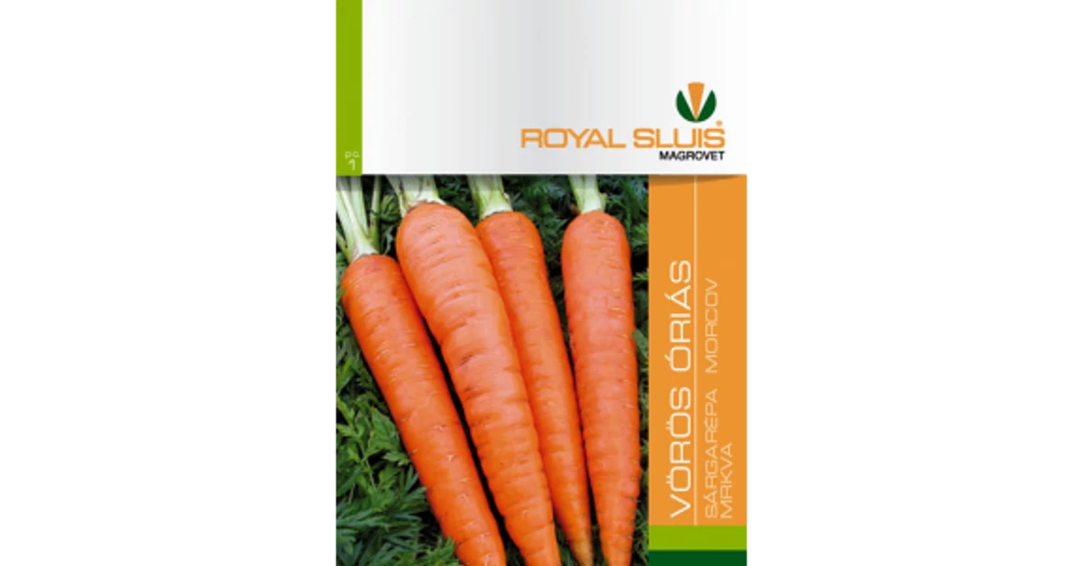 Gyökérzöldség - Royal Sluis - Agropolisz